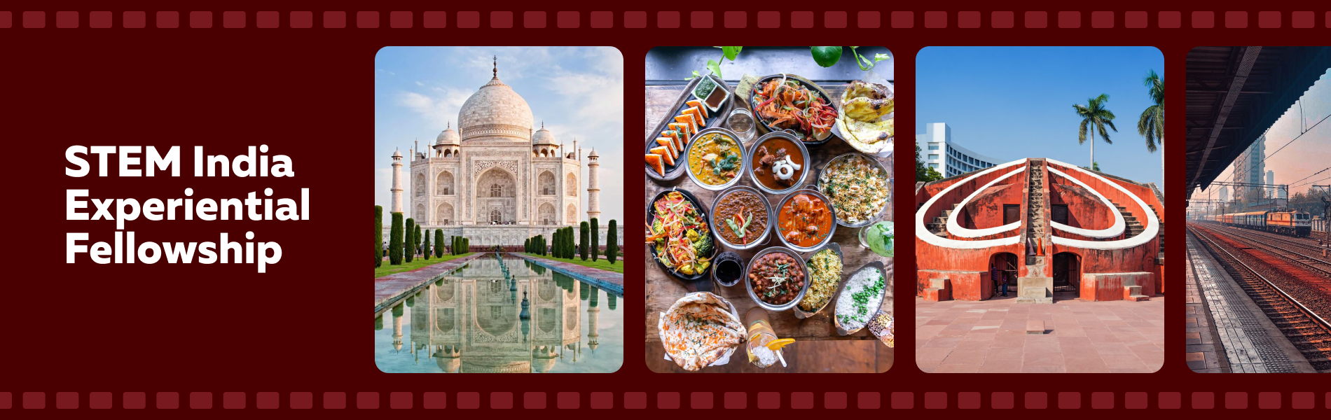 STEM India Experiential Fellowship